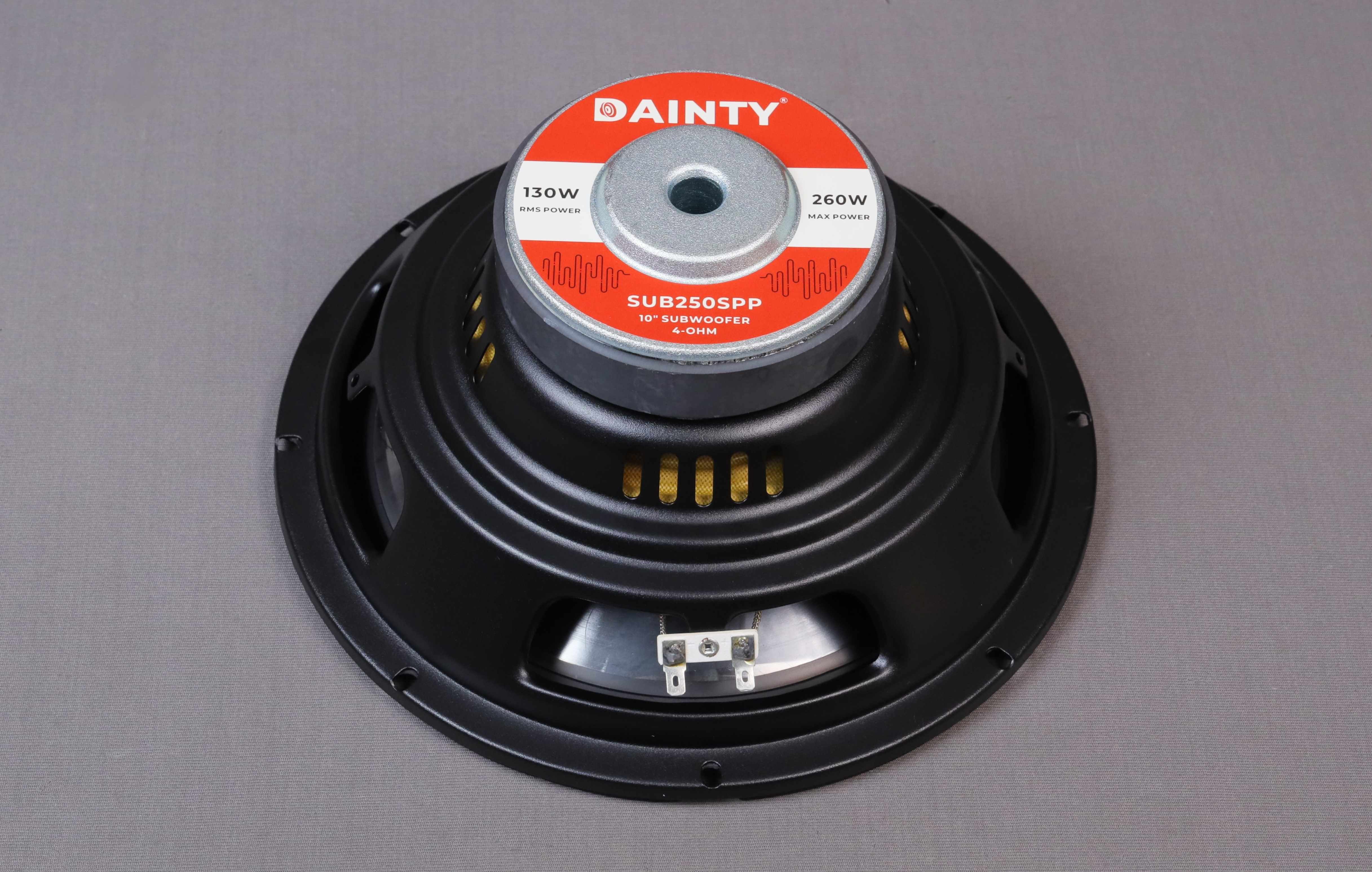 10INCH SUBWOOFER - DAINTY